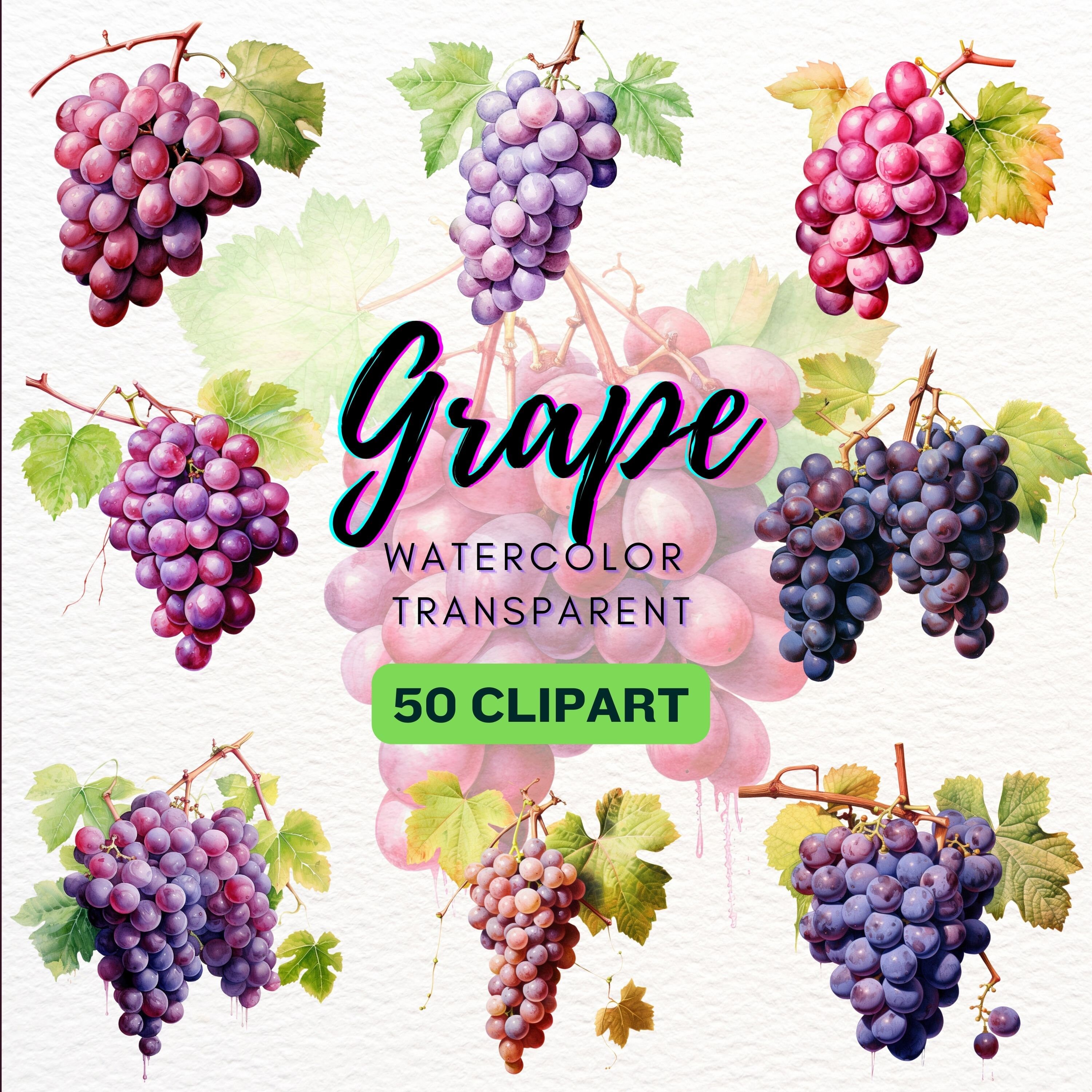 Watercolor Grapes 50 PNG - Digital PNG Transparent Grapes Graphics for ...