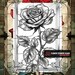 Coloring Pages 50 Flower Stained Glass - Adult and Kids Coloring Book ...