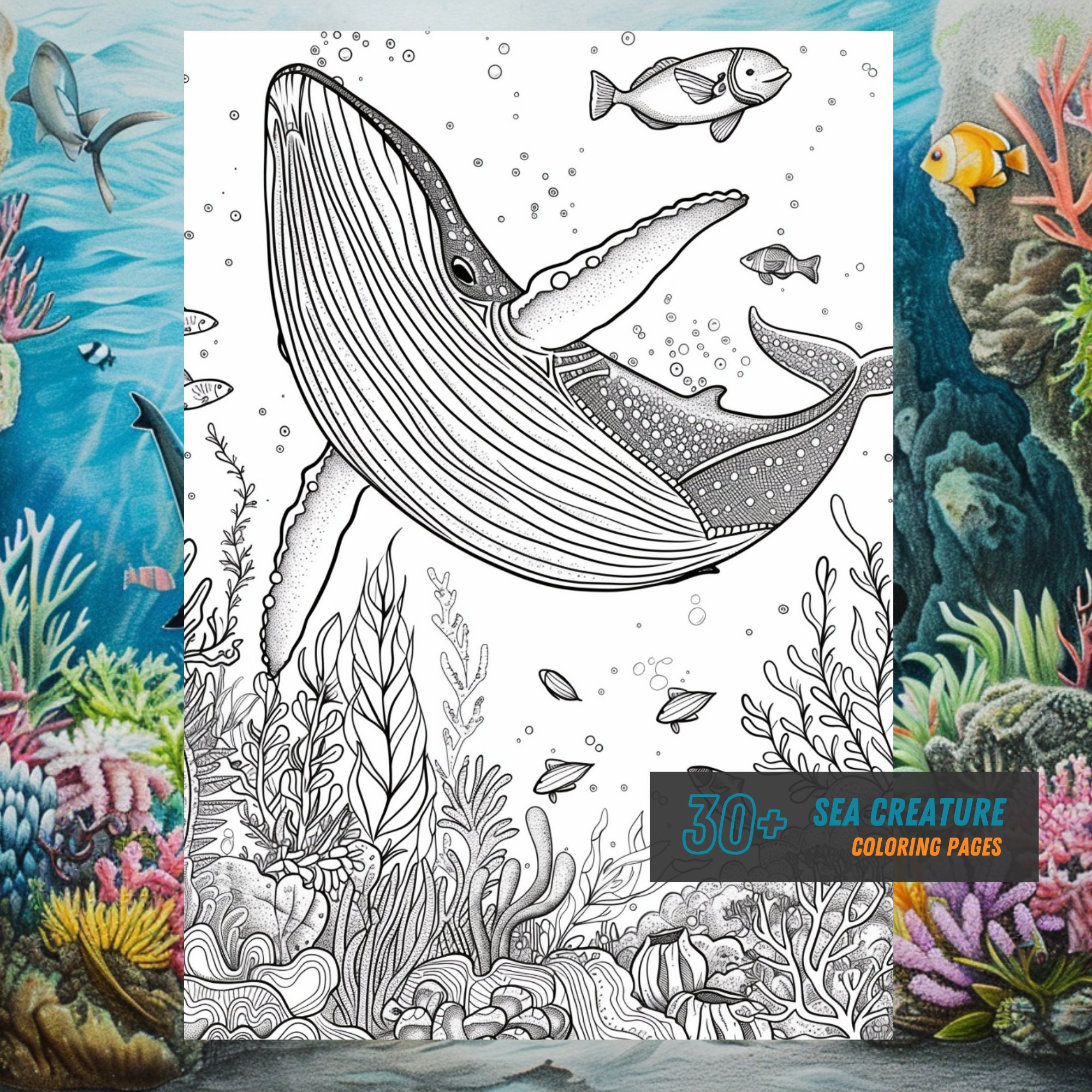 Coloring Pages 30 Sea Creature - Adult and Kids Coloring Book, Ocean ...