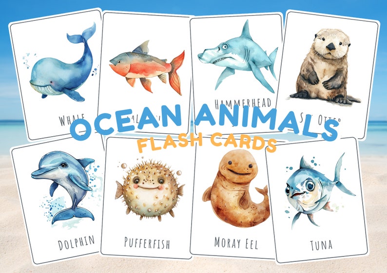 Flash Card Ocean Animals,24 Flashcard for Kid, Animal Flash Card ...