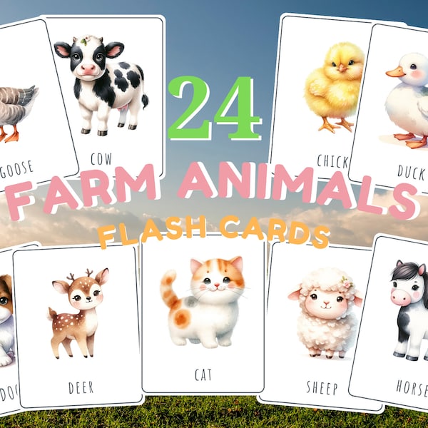 Animal Flash Cards - Etsy