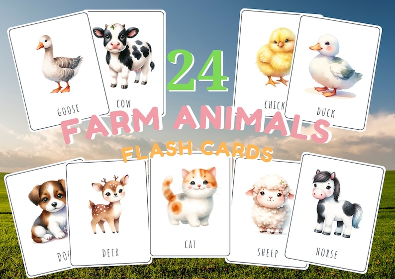 Flash Card Farm Animals,24 Flashcard for Kid, Animal Flash Card ...