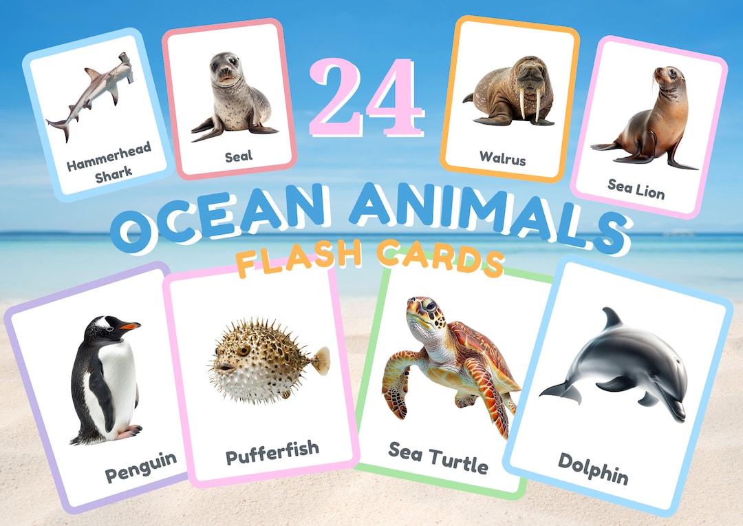 Flash Card Ocean Animals,24 Flashcard for Kid, Animal Flash Card ...