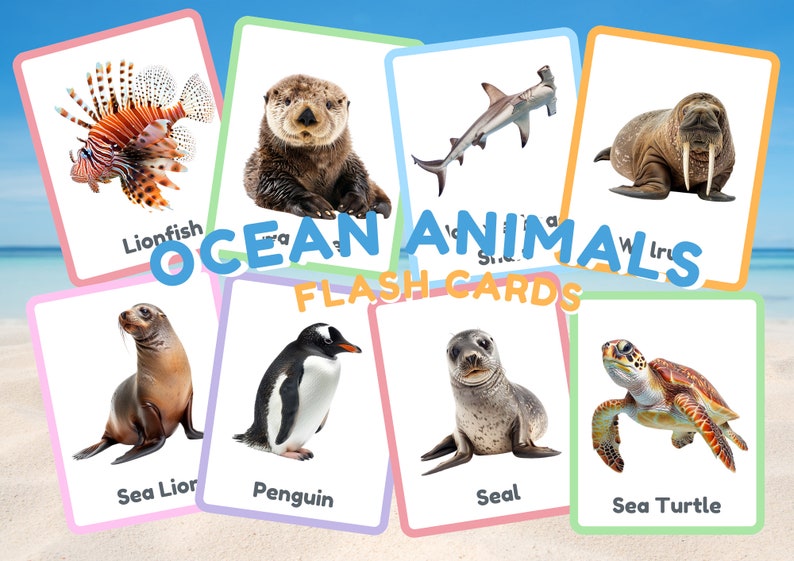 Flash Card Ocean Animals,24 Flashcard for Kid, Animal Flash Card ...