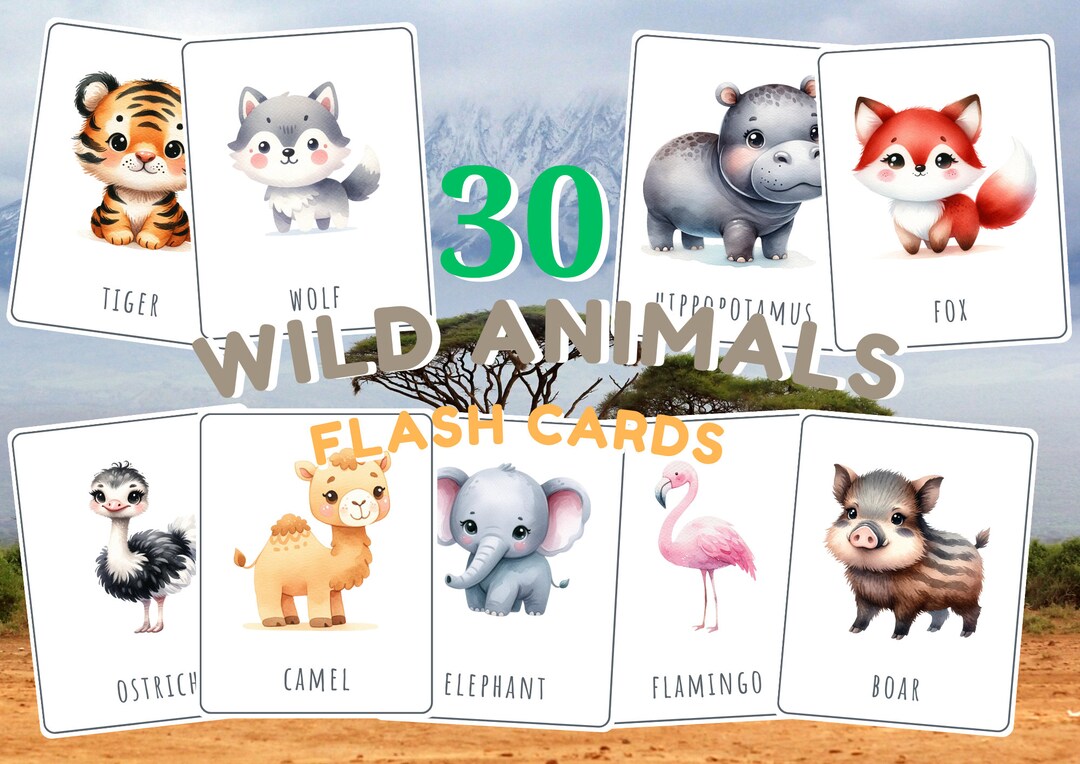 Flashcard Wild Animals,30 Flashcard for Kid, Animal Flash Card ...