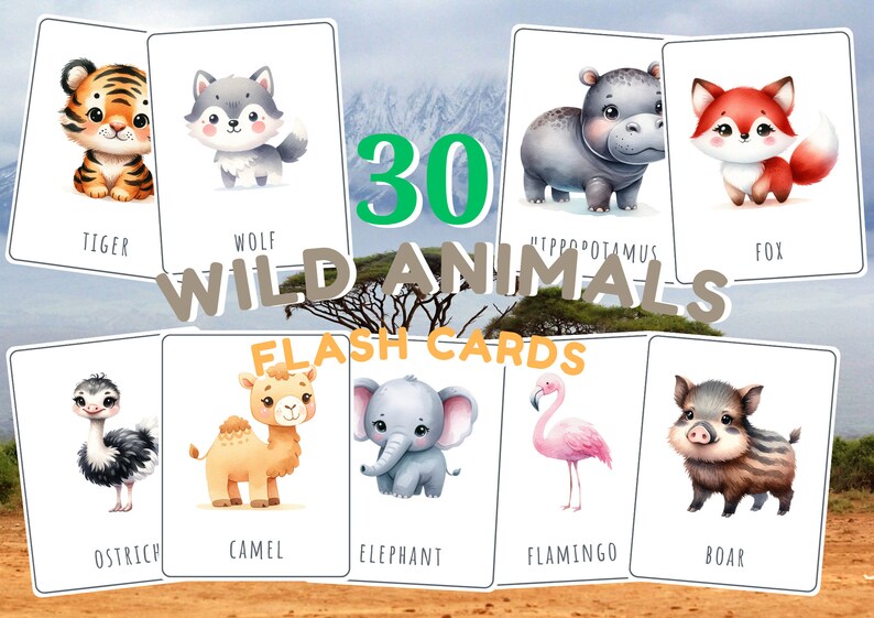 Flashcard Wild Animals,30 Flashcard for Kid, Animal Flash Card ...