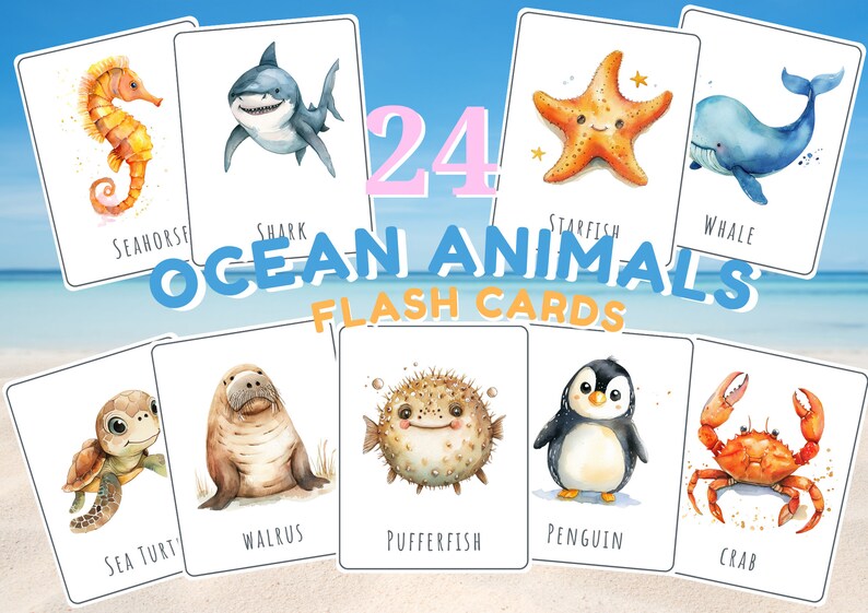 Flash Card Ocean Animals,24 Flashcard for Kid, Animal Flash Card ...
