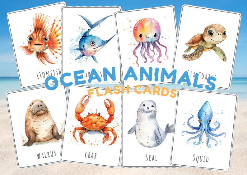 Flash Card Ocean Animals,24 Flashcard for Kid, Animal Flash Card ...