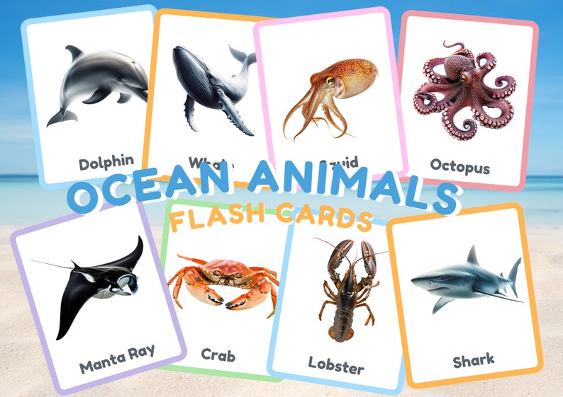Flash Card Ocean Animals,24 Flashcard for Kid, Animal Flash Card ...