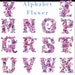 Watercolor Alphabet Floral Letters Clipart PNG Set Pink Alphabet ...