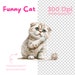 Cute Cat Funny Cat | Cat Clipart | 24 PNG 300 DPI Children Clipart ...