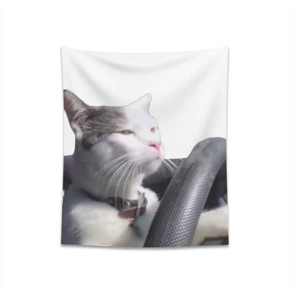 Cat Driving a Car - Etsy