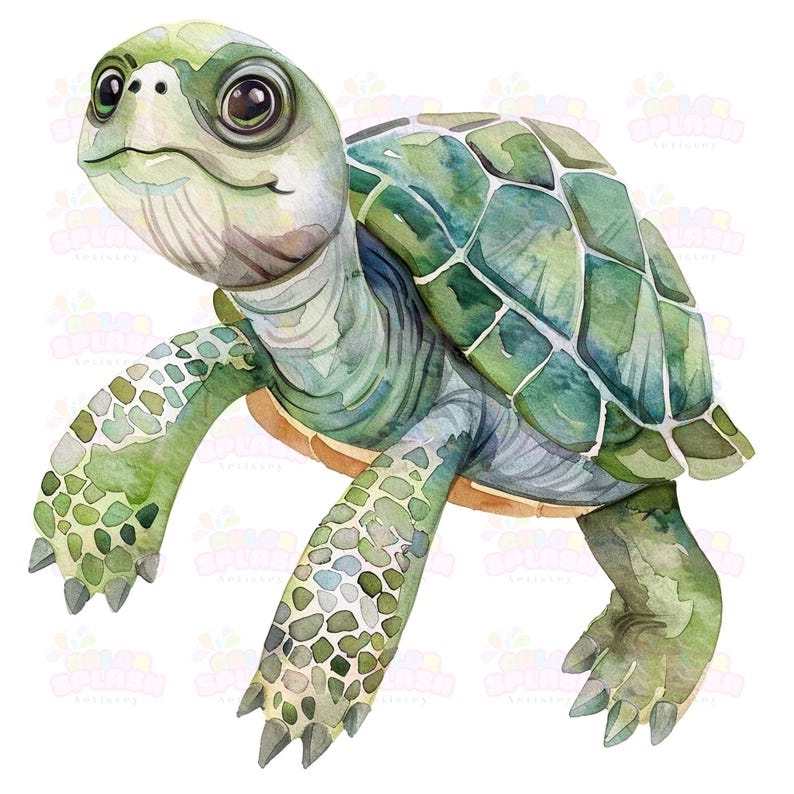 16 Cute Turtle Illustration | Adorable Pastel Turtle Clipart for Kids ...