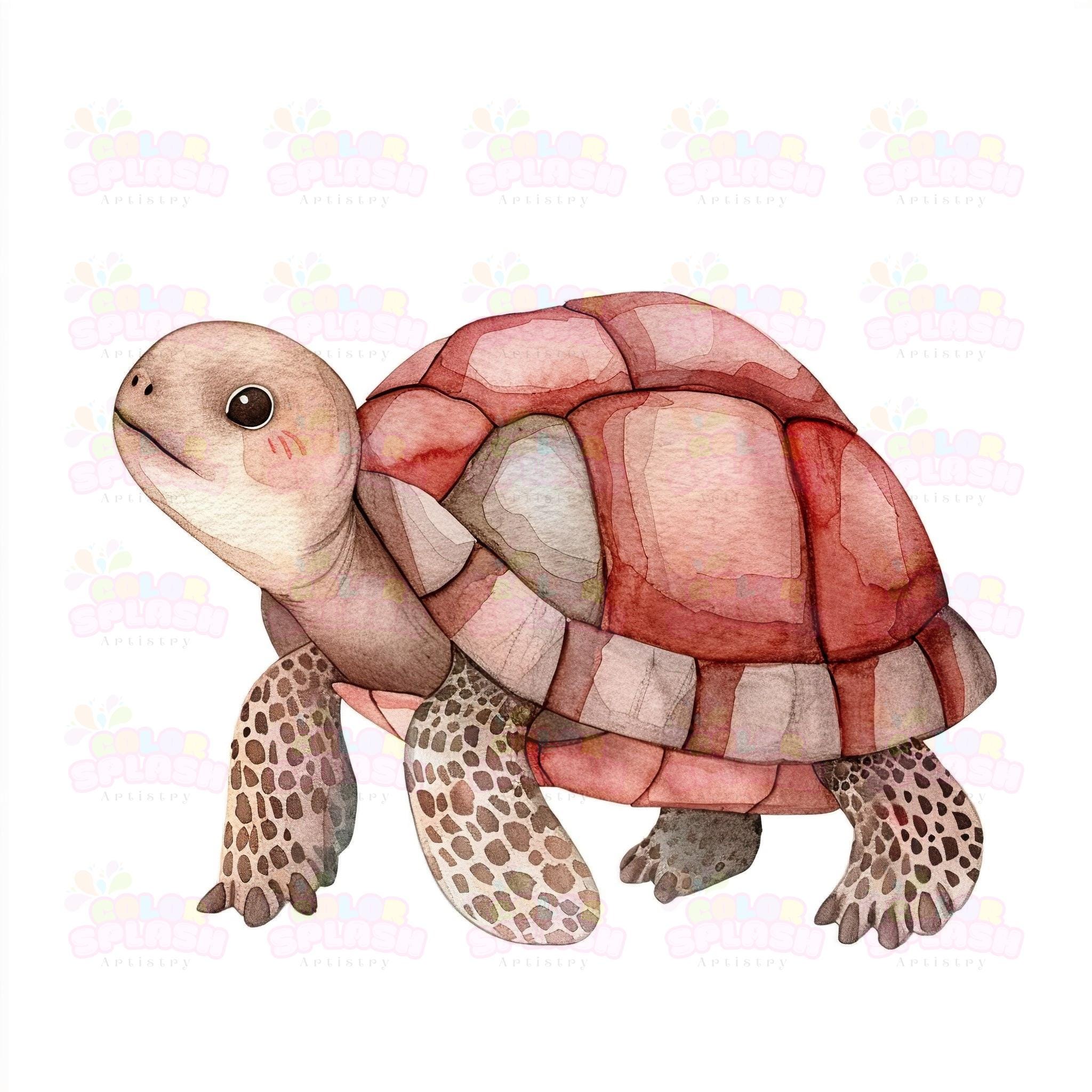 16 Cute Turtle Illustration | Adorable Pastel Turtle Clipart for Kids ...