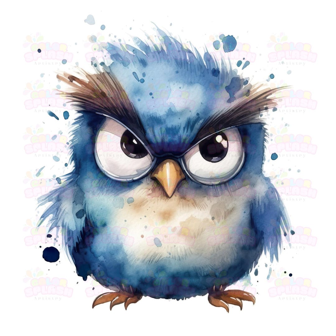 16 Grumpy Birds Art Funny Cartoon Bird Clipart, Angry Birds Digital ...