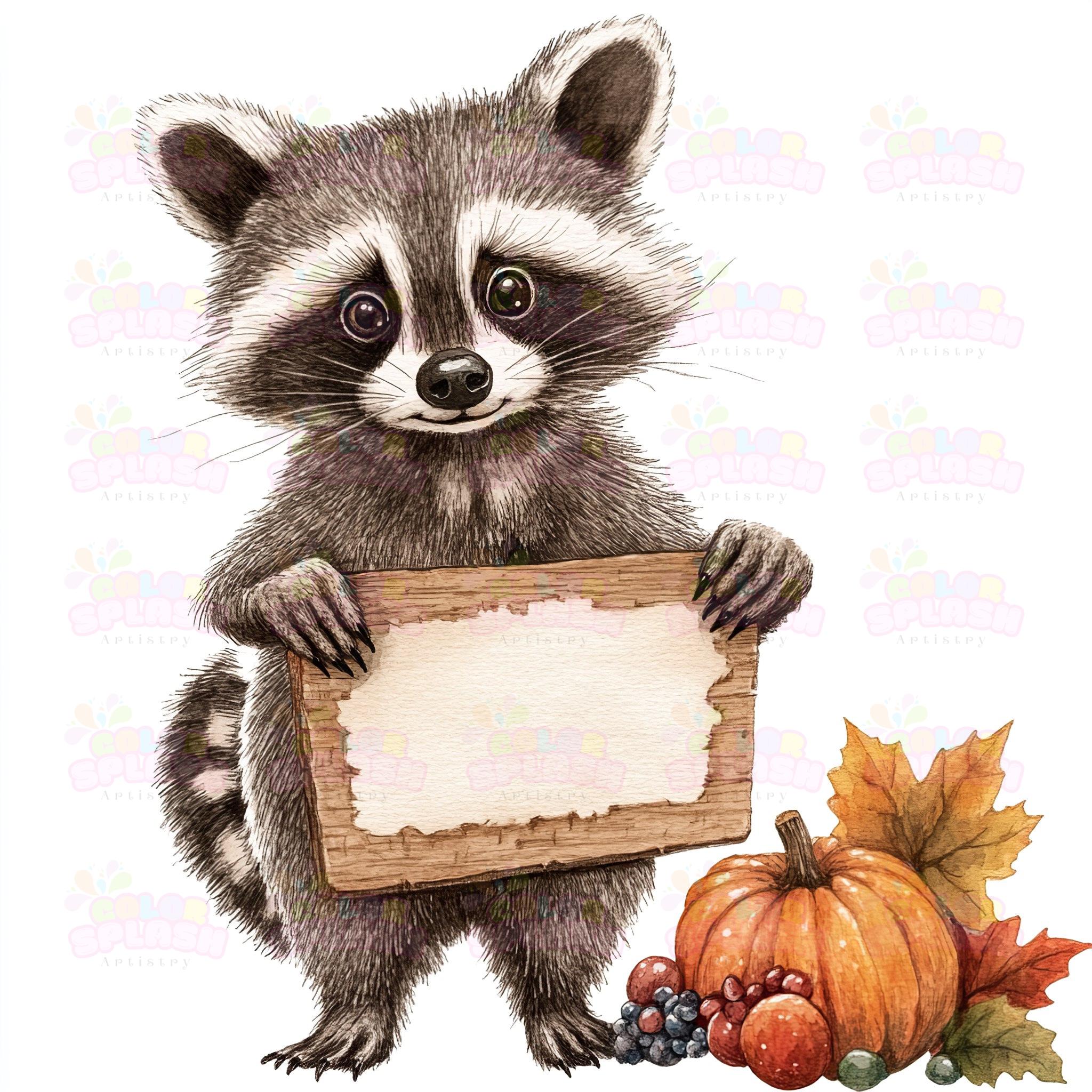 13 Cute Raccoon With Autumn Harvest Sign - Fall Woodland Animal Art ...