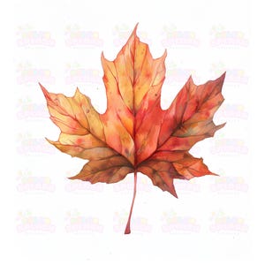 12 Beautiful Maple Leaf Clipart | Autumn Leaves Art for Fall Decor ...