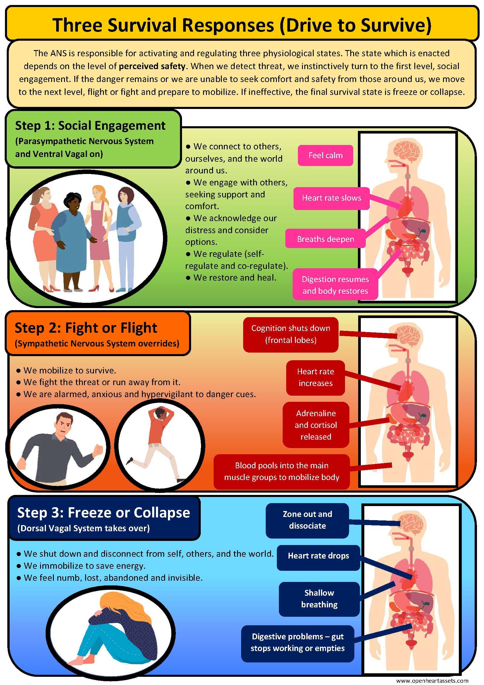 Polyvagal Theory Polyvagal Worksheets Emotional Regulation - Etsy