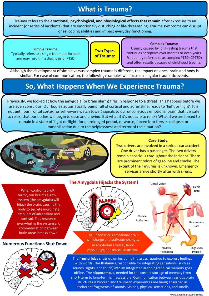 Trauma Therapy Bundle PTSD Worksheet, Anxiety Relief, CBT Sheets ...