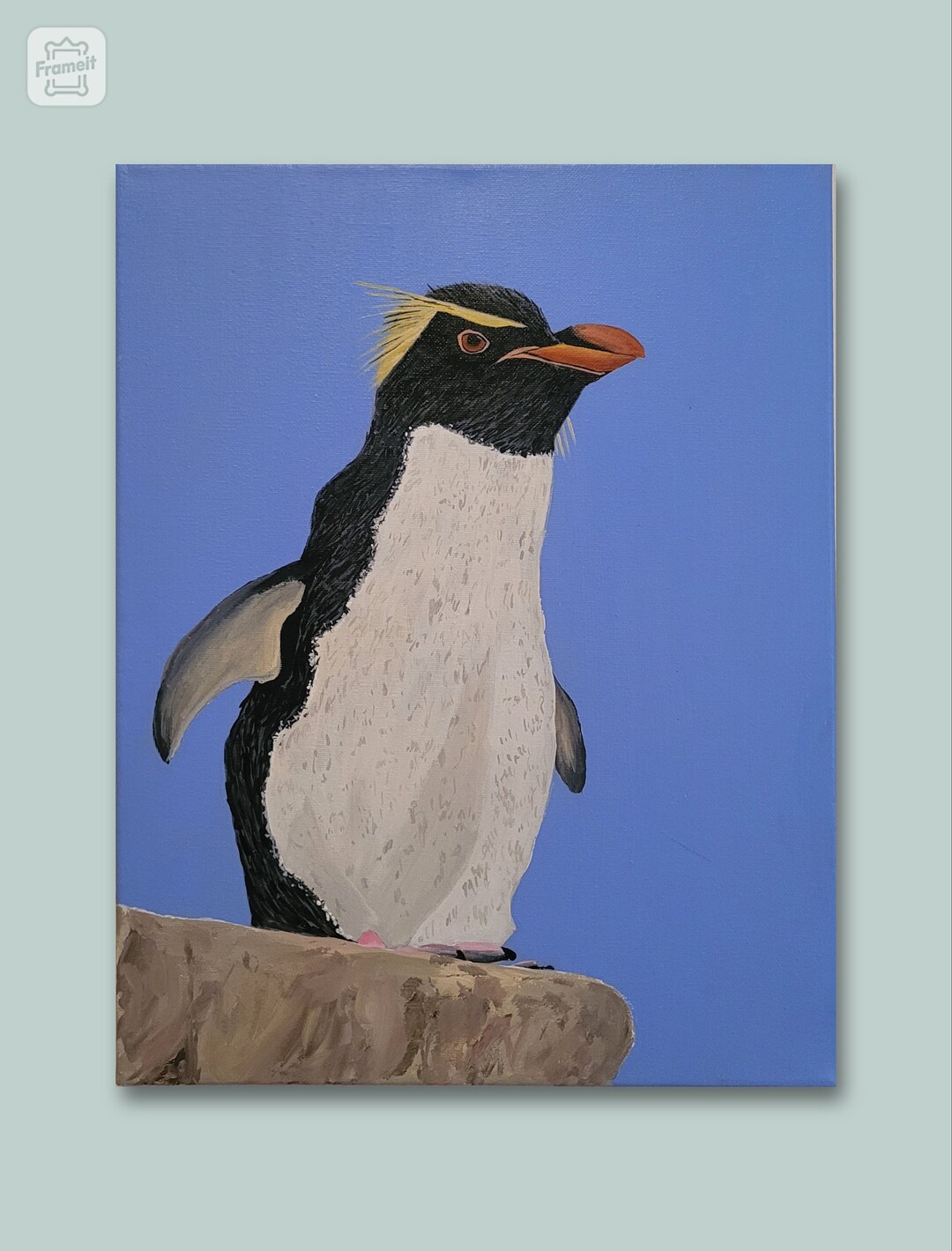 Rockhopper Penguin Canvas Painting - Etsy