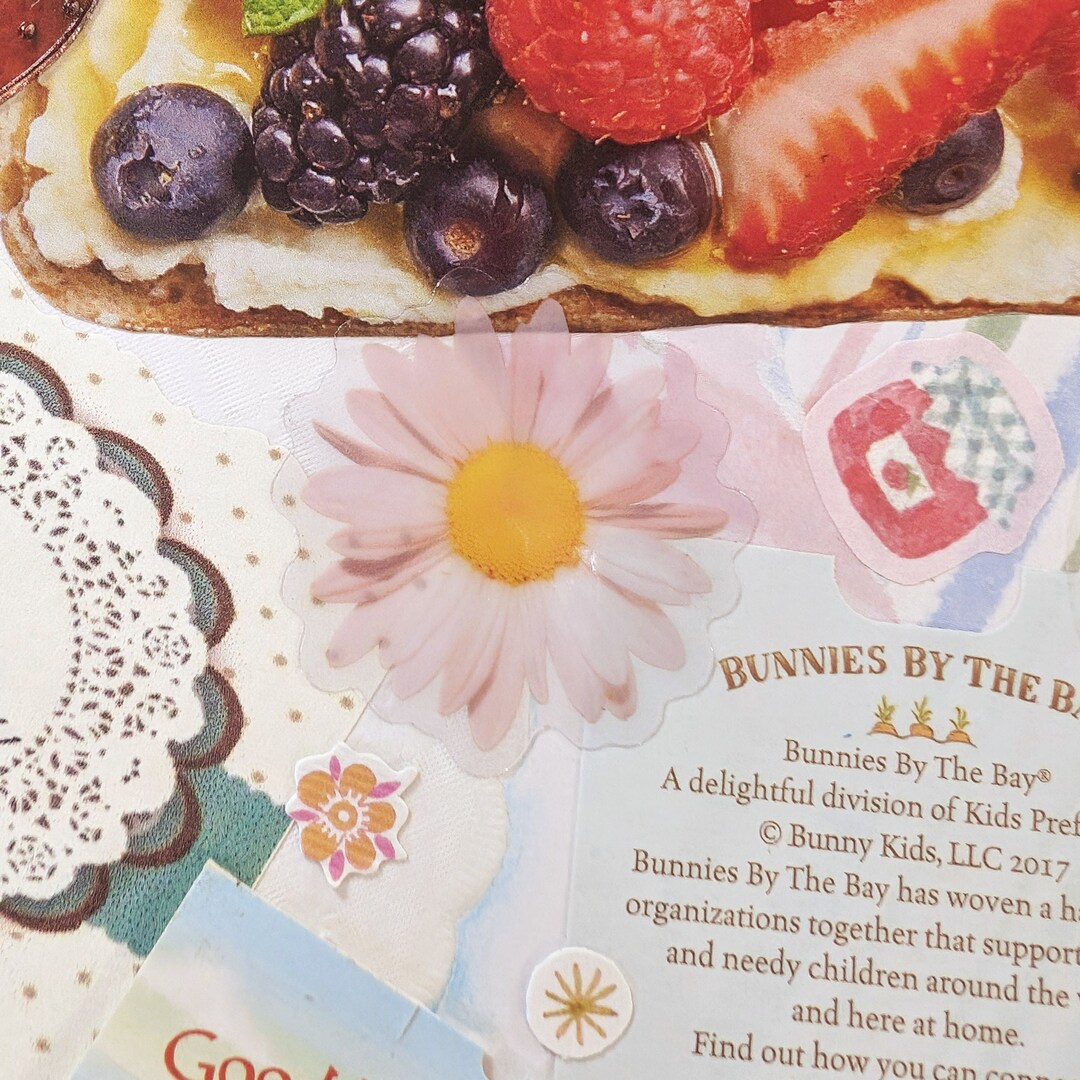 Transparent Pink Daisy Sticker Pack of Six - Etsy