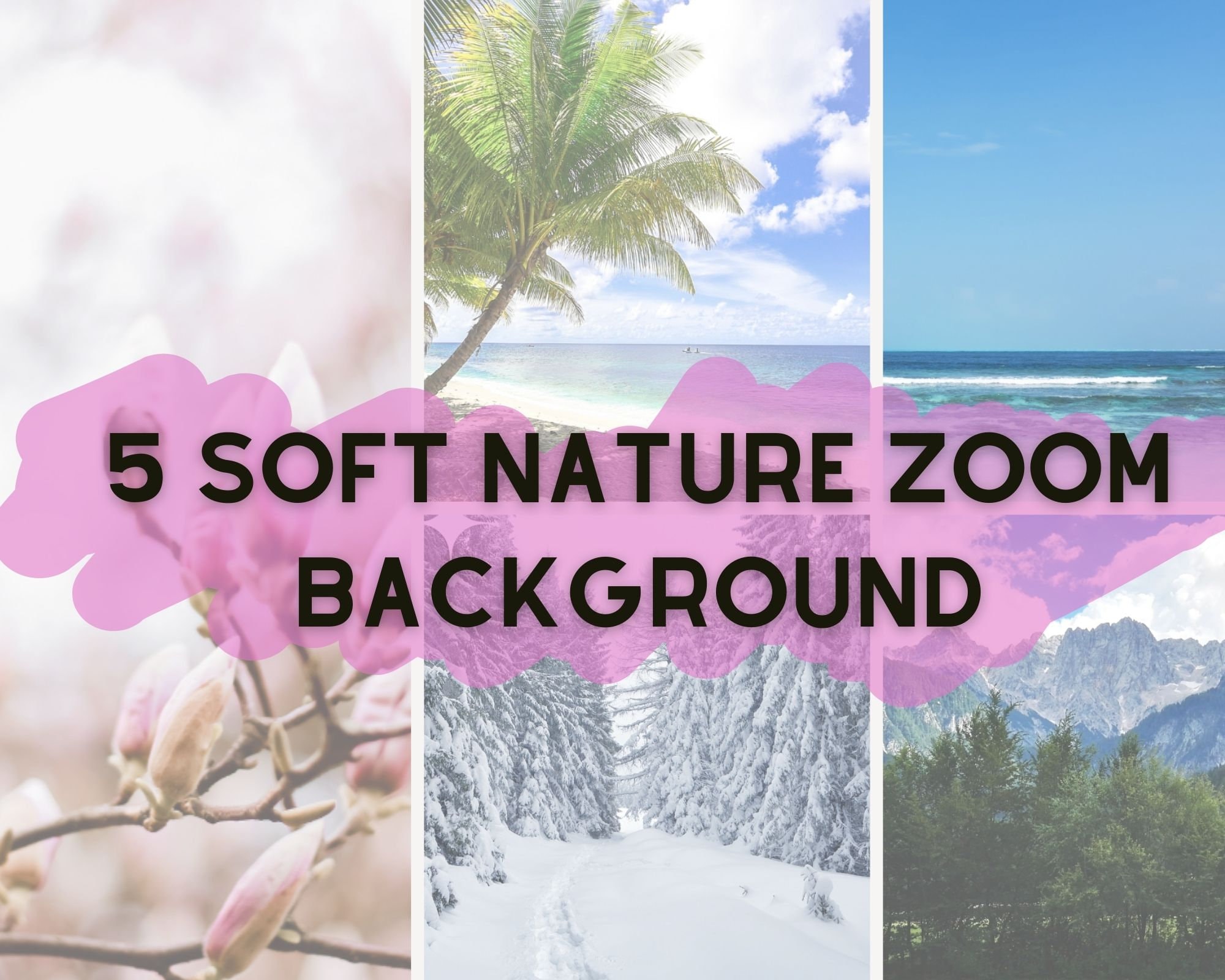 5 NATURE ZOOM BACKGROUND Zoom Meetings Microsoft Teams - Etsy Finland