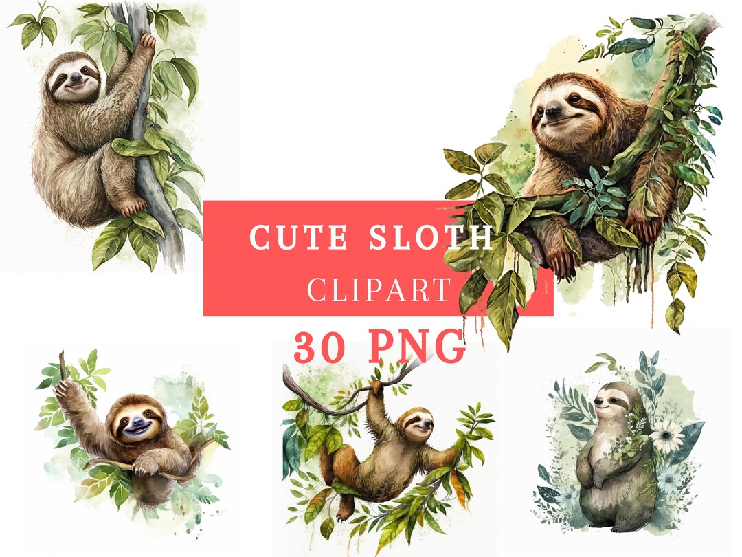 Adorable Watercolor Cute Sloth Clipart Bundle 30 PNG | Instant Download ...