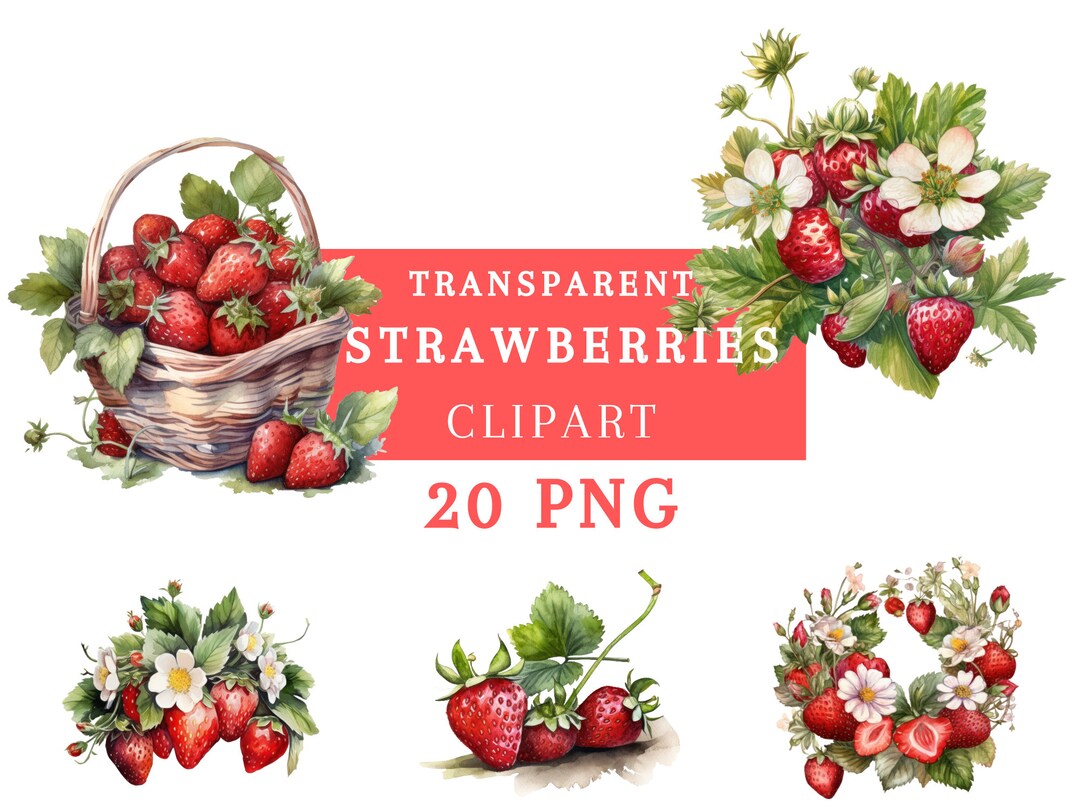 Watercolor Tasty Strawberries Clipart 20 PNG| Transparent Background ...