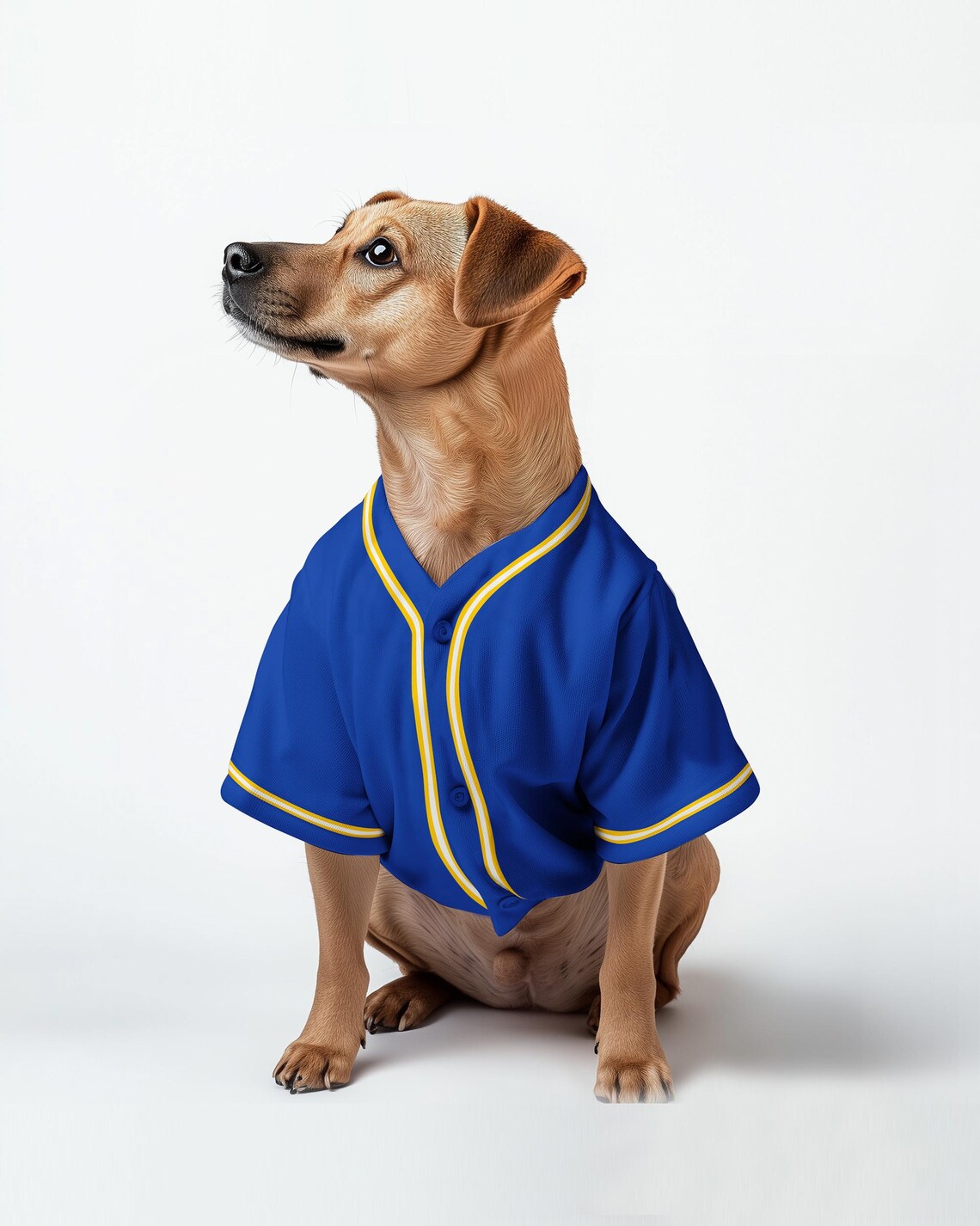 Custom Royal Blue Dog Jersey – 3D Printed Name & Number Pet Baseball ...