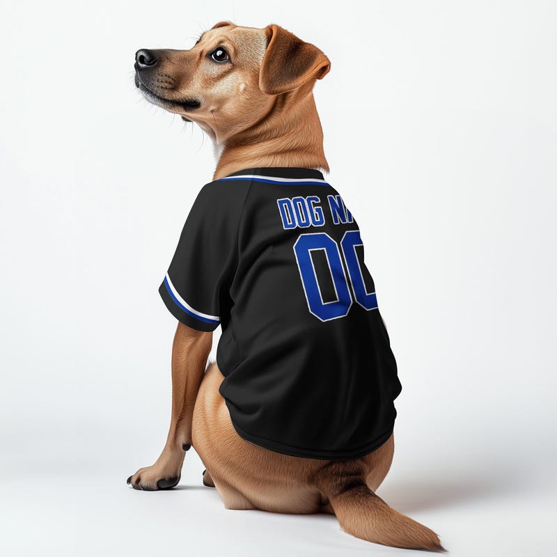 Dog Outfits French Style - Etsy UK