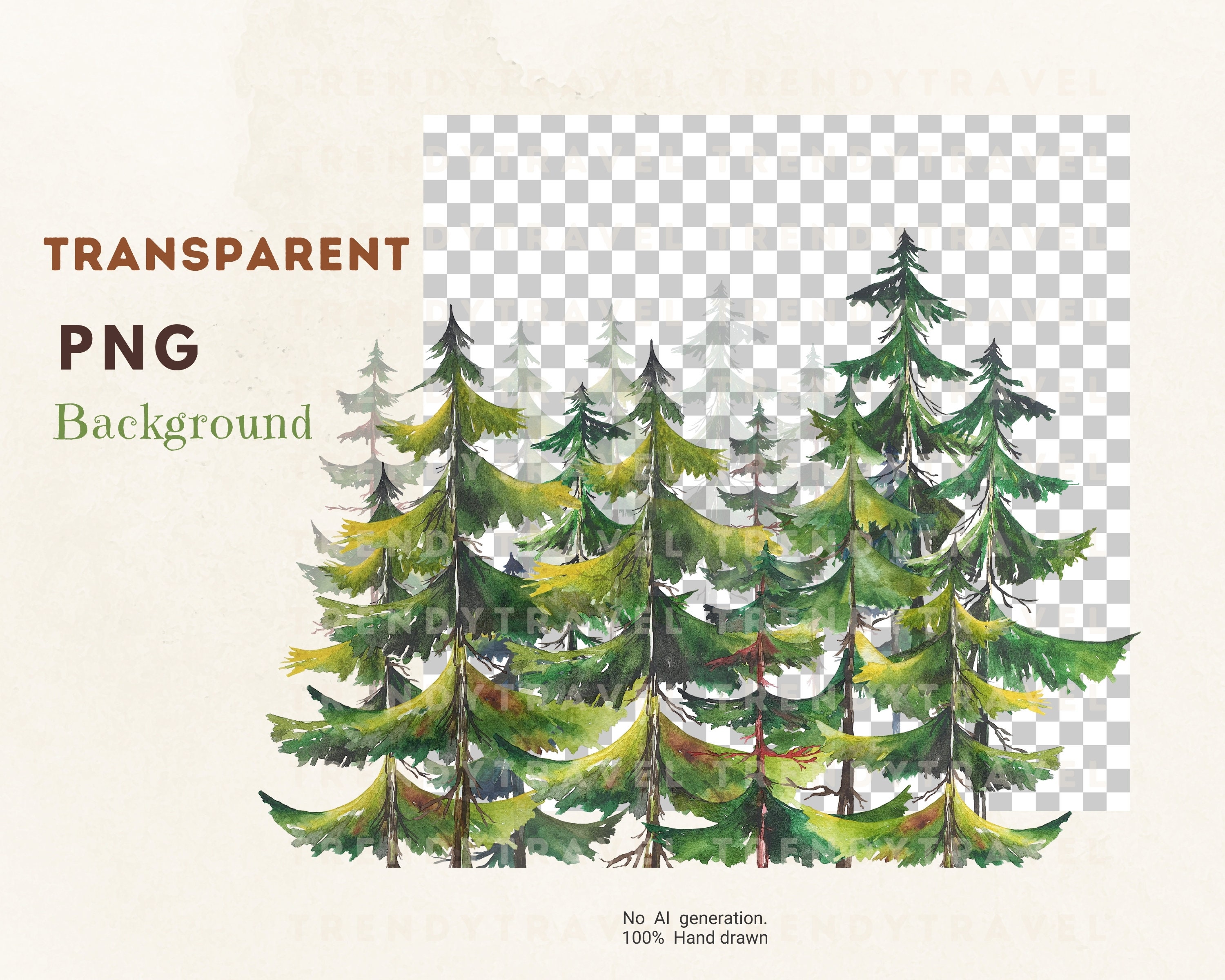 Watercolor Pine Tree Clipart, Watercolor Clipart, Pine Tree Png, Forest ...