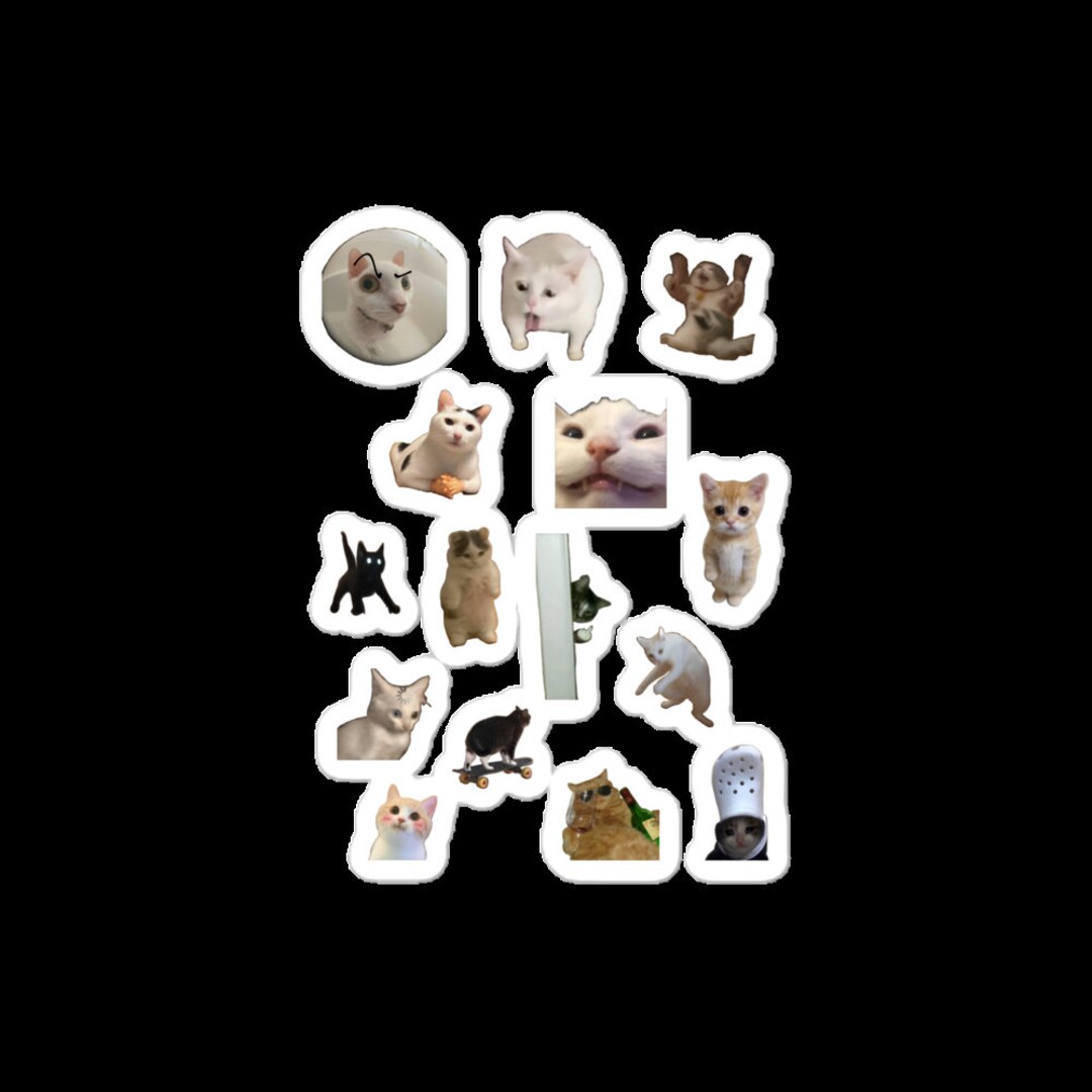 Meme Cat Stickers Funny Cat Stickers Cat Meme Decals - Etsy