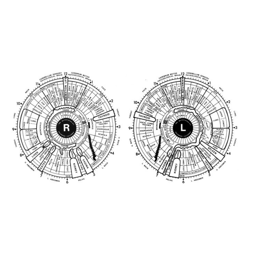 Comprehensive Iridology / Sclerology Reading (enhanced) - Etsy