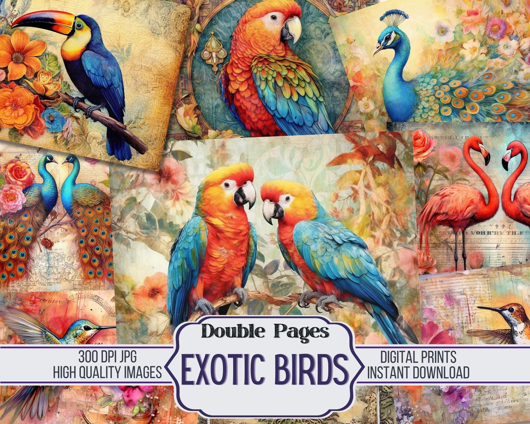 Exotic Birds Junk Journal Double Papers, 26 Summer Printable Stamperia ...