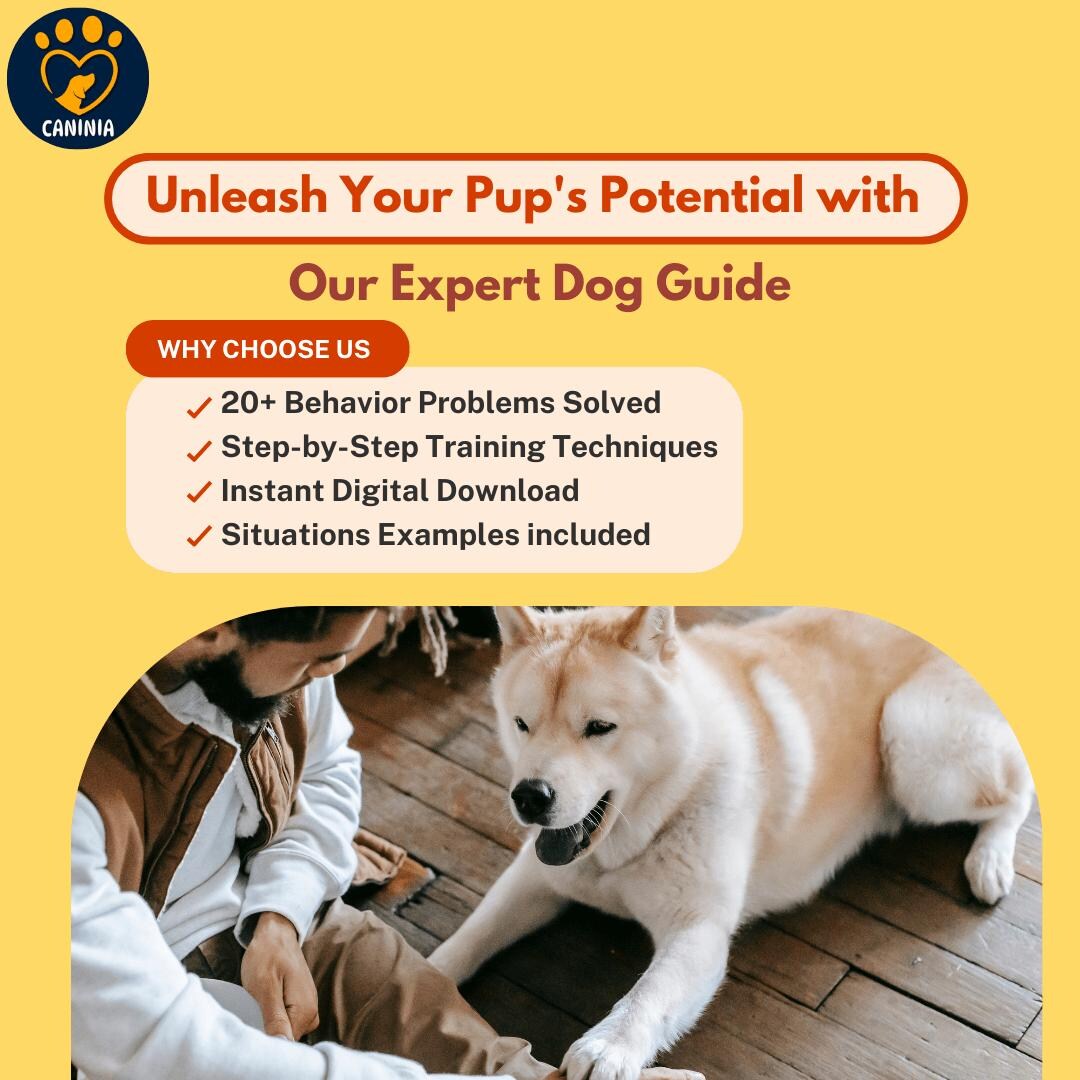 Dog Behavior Problems Solutions Guide | Training Tips for Leash Pulling ...