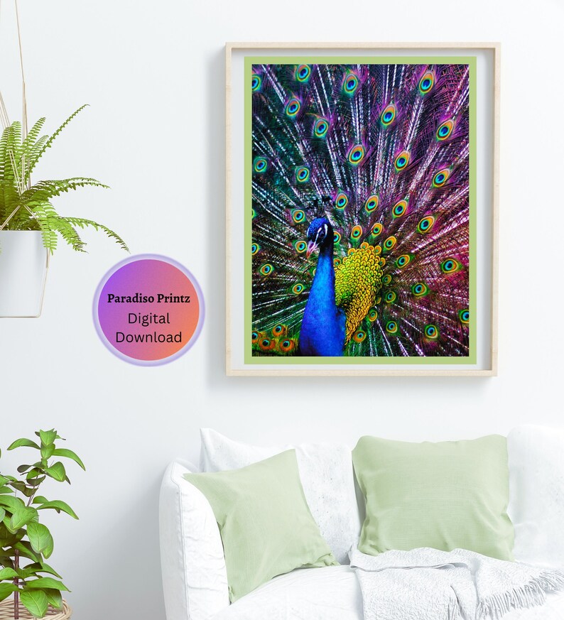 Serenity in Feathers: Chromatic Majestic Peacock | A Beautiful Peacock ...
