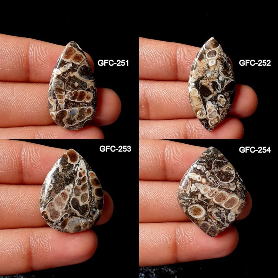 Natural Turritella Agate AAA Quality Turritella Agate Stone Turritella ...