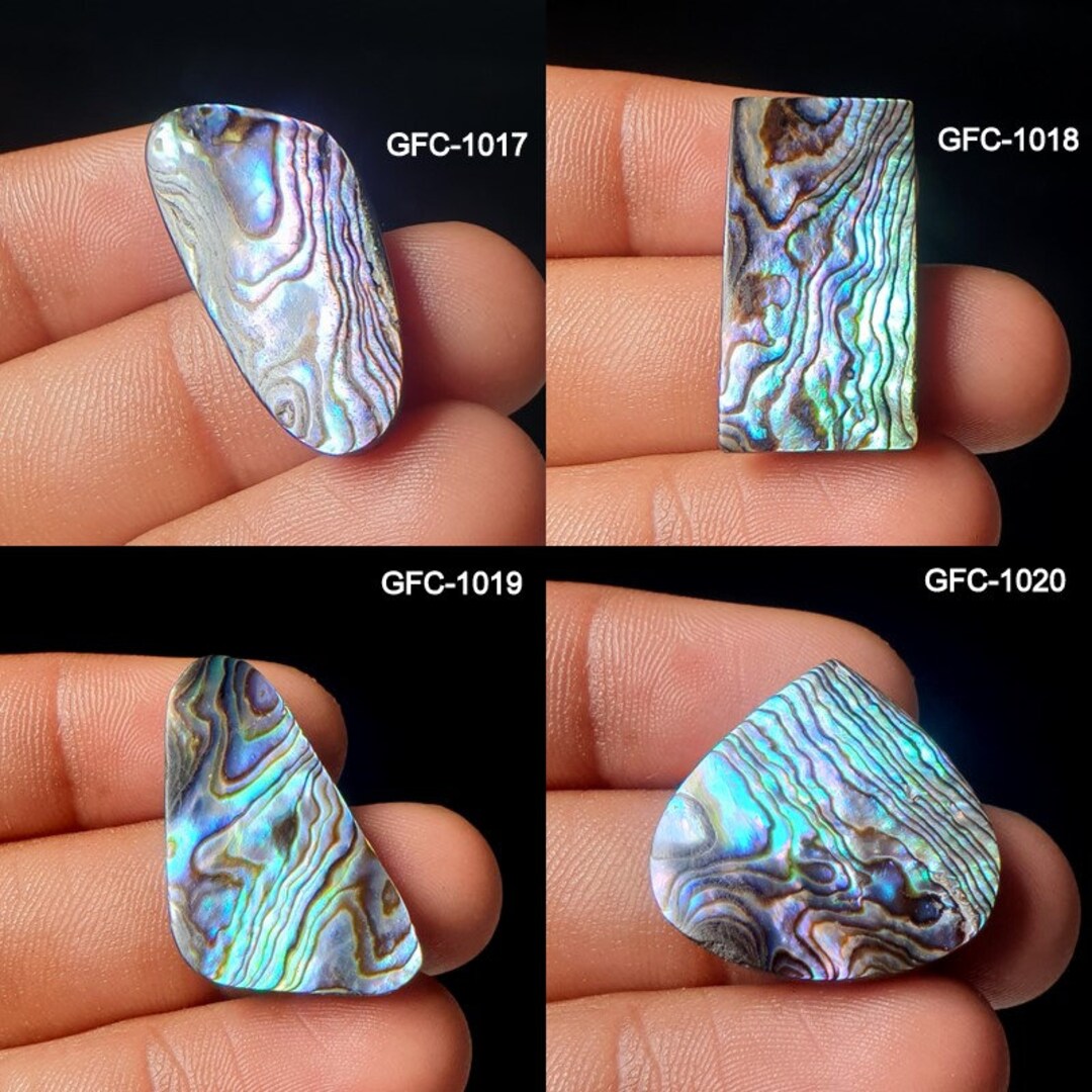 Gorgeous Abalone Shell High Quality Abalone Shell Stone - Etsy