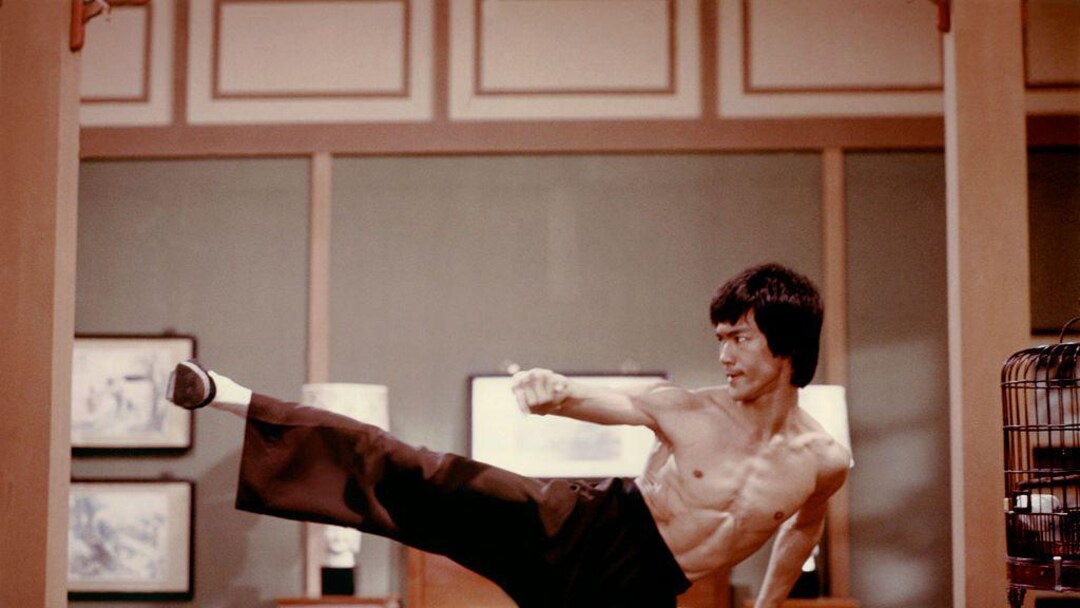 Bruce Lee's Fighting Method - Etsy