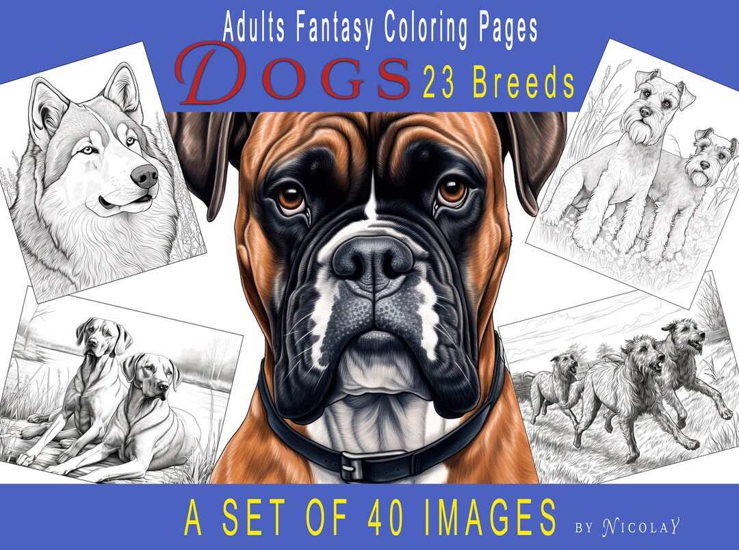Dogs Coloring Pages, 23 Breeds, Part 01, Downloadable PDF, High ...