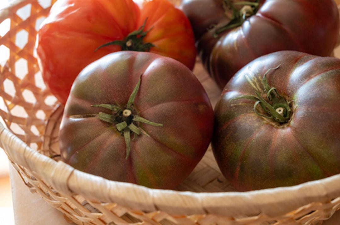 20 Heirloom Paul Robeson Tomato Seeds! - Etsy