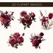Burgundy Flowers - Clipart for Templates and Stationary- Transparent ...