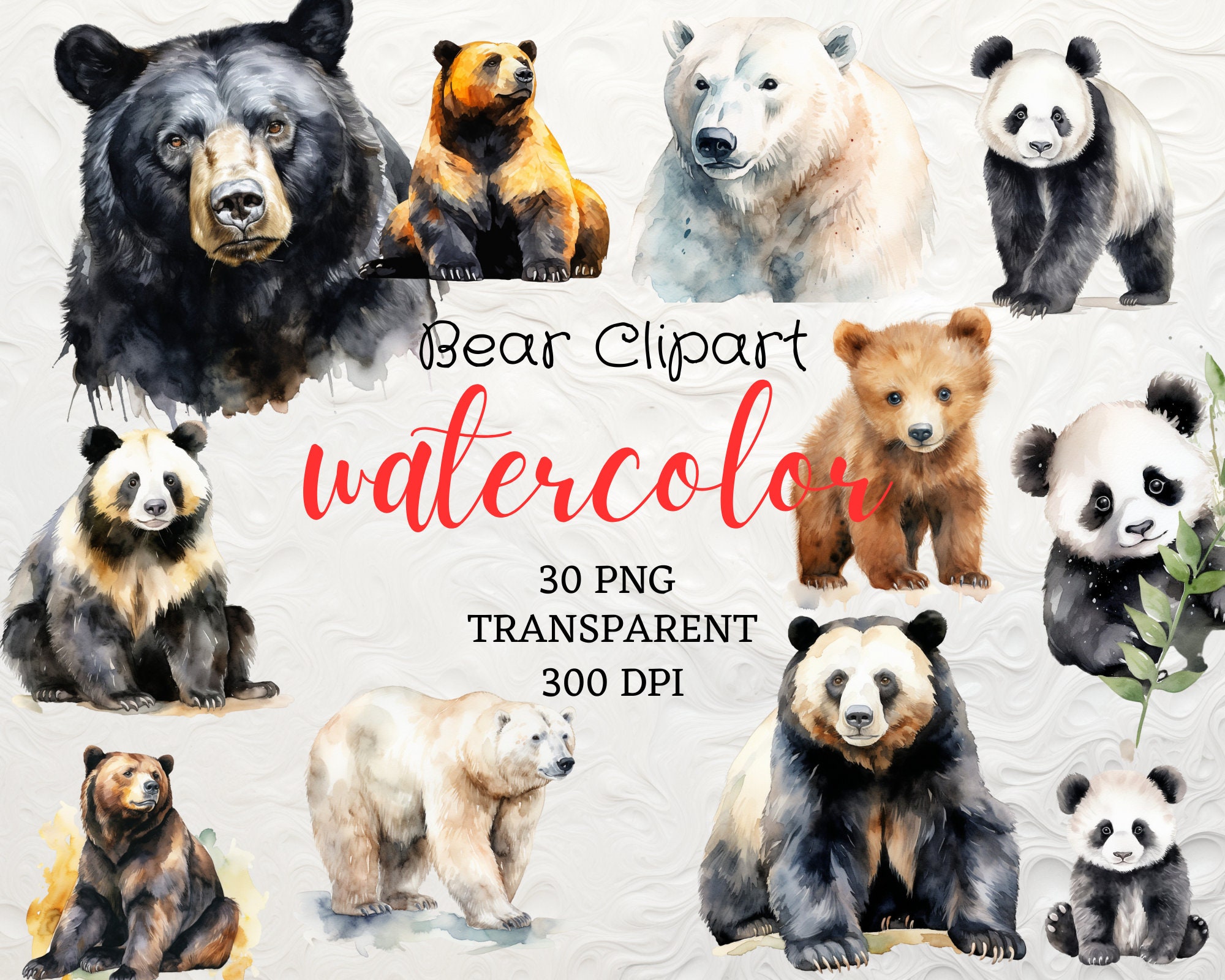 Watercolor Bear Clipart 30 PNG Polar Bear Brown Bear Grizzly - Etsy