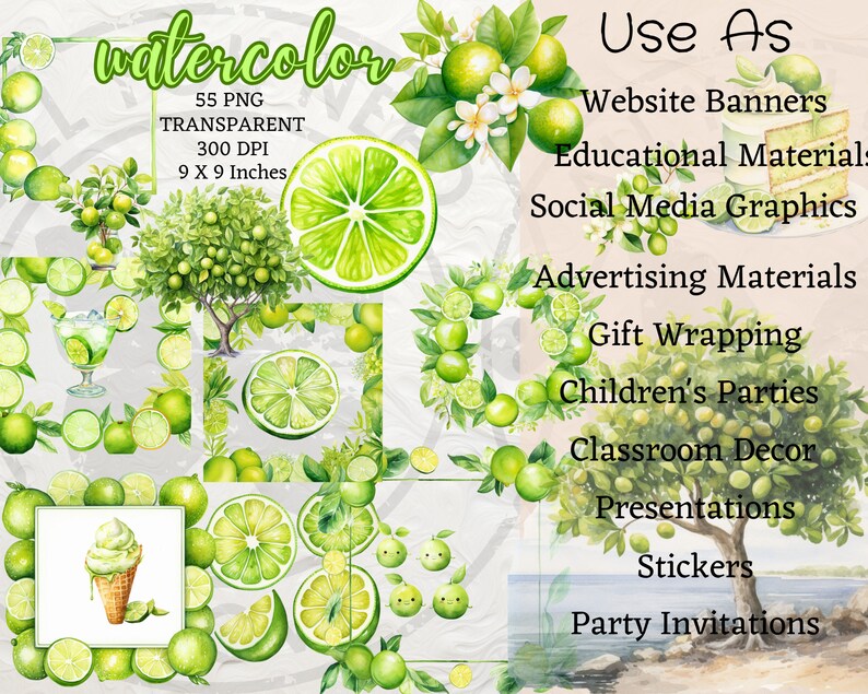 Watercolor Lime Clipart 55 PNG Key Lime Clipart Instant Download Lime ...