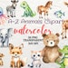Watercolor Animals Clipart 26 PNG Animals A-Z Clipart Instant Download ...