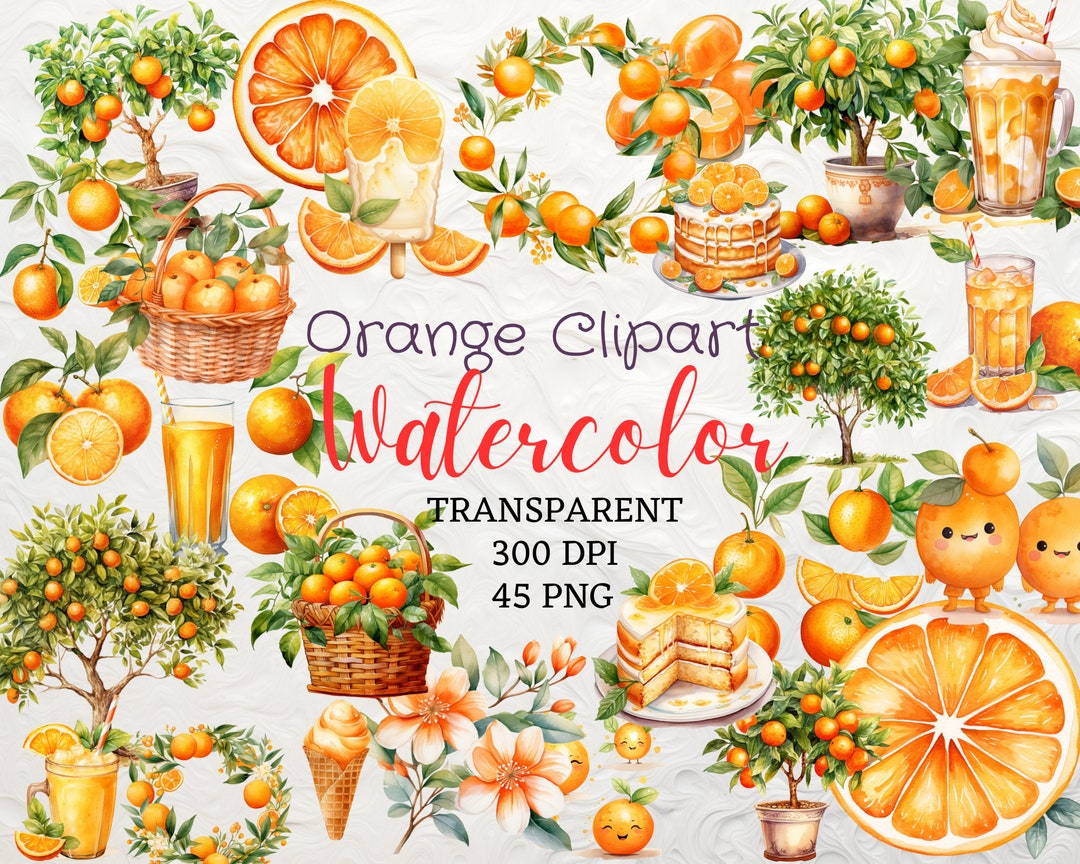 Watercolor Orange Clipart: 45 PNG Fruit Graphics (digital Download) - Etsy