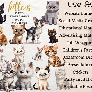 Kitten Clipart Bundle 95 Kittens Clipart Cat Breeds Png Cat Lovers ...