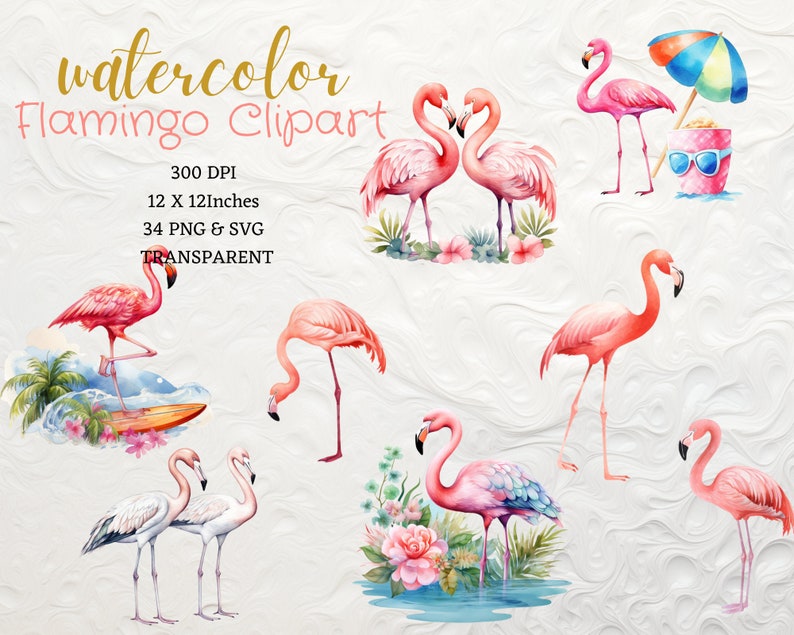 Watercolor Flamingo Clipart 34 PNG Flamingo Tropical Birds - Etsy