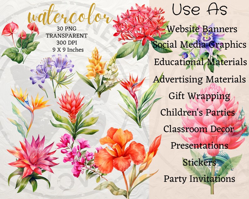 Watercolor Tropical Flowers Clipart 30 PNG Cute Floral Clipart Instant ...
