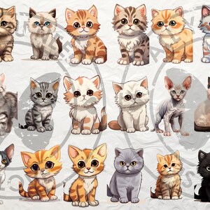 Kitten Clipart Bundle 95 Kittens Clipart Cat Breeds Png Cat Lovers ...